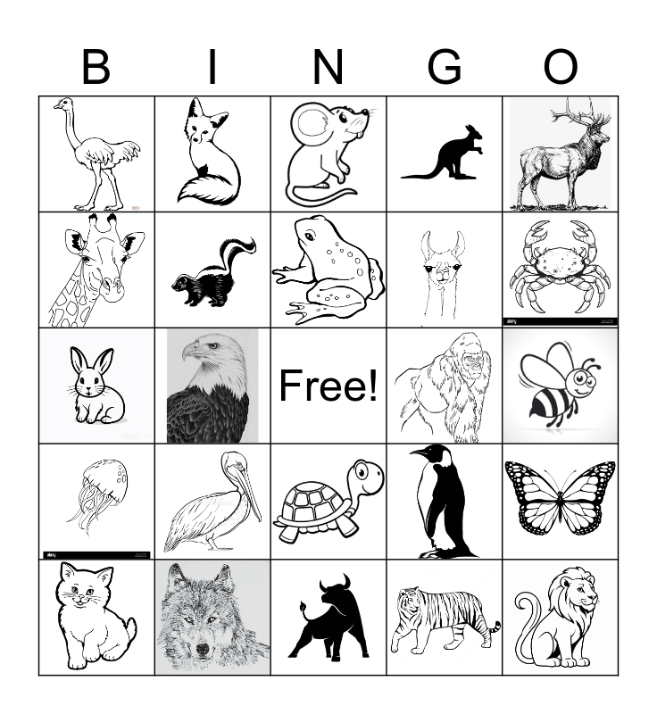 52 BINGO- ANIMALS! Bingo Card