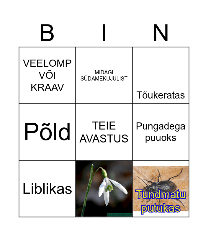 Kevade märkamise BINGO Card