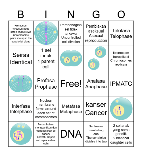 Mitosis Bingo Card