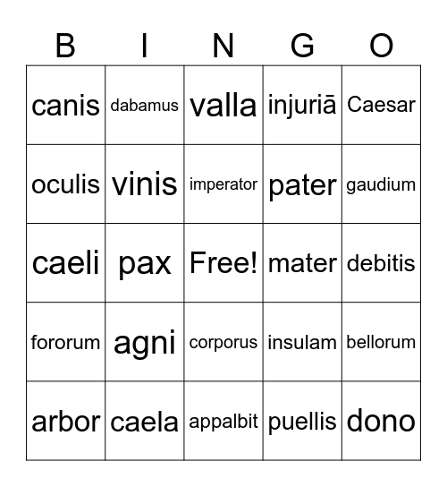 Latin Bingo! Bingo Card