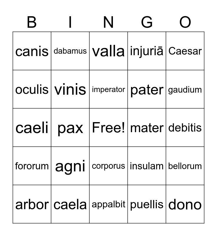 Latin Bingo! Bingo Card