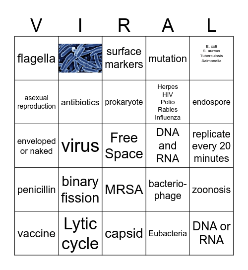 Mosley Virus vs Bacteria Bingo Card