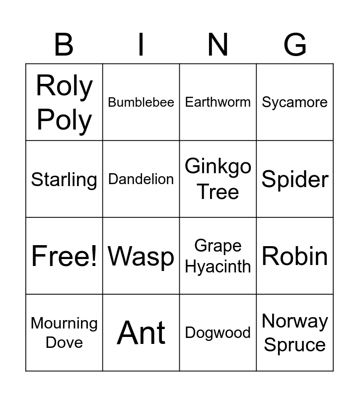 The Birds and the Bees Bingo Card