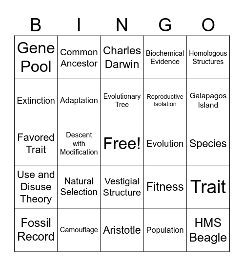 Evolution Bingo Card