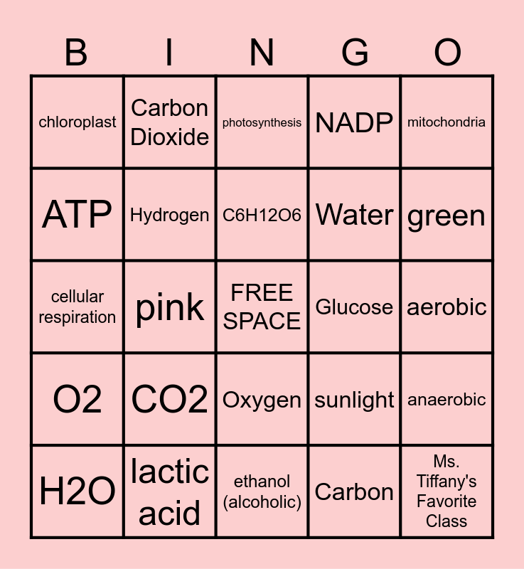 Photosynthesis & Respiration Bingo Card