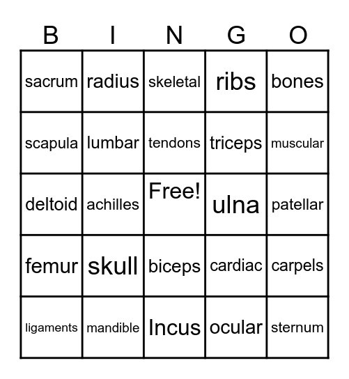 Anatomy Bingo Card