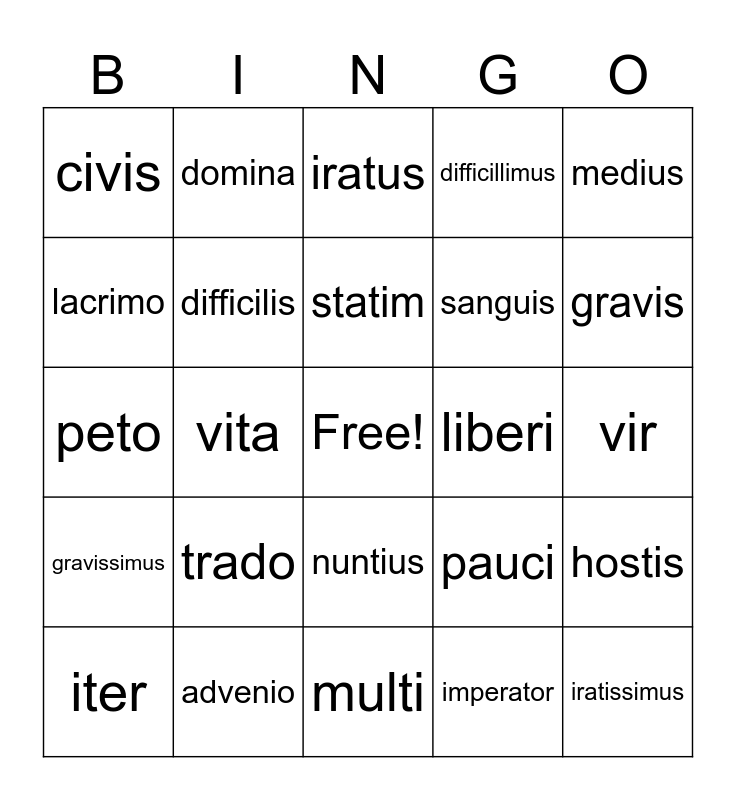 Suburani vocab chapter 9 Bingo Card