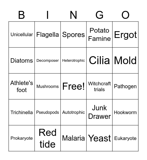 Protists and Fungus Bingo Card