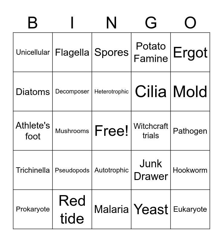 Protists and Fungus Bingo Card