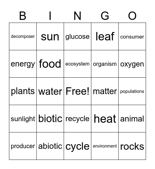 ECOSYSTEM Bingo Card