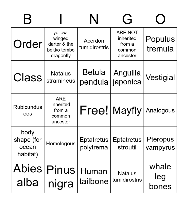 Taxonomy and Evolution BINGO Card