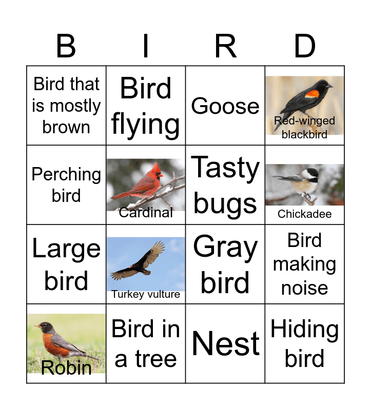 Birdwatching Bingo Card