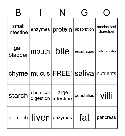 Digestive System Bingo Card