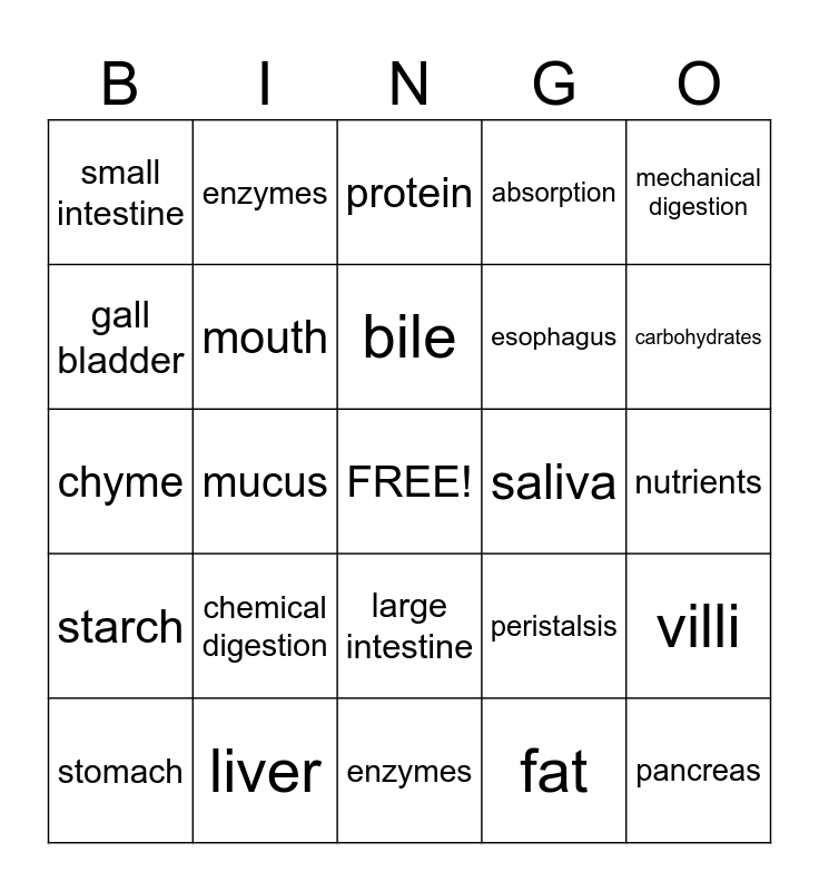 Digestive System Bingo Card