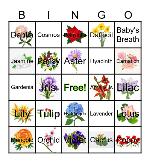 May Day! Bingo Card