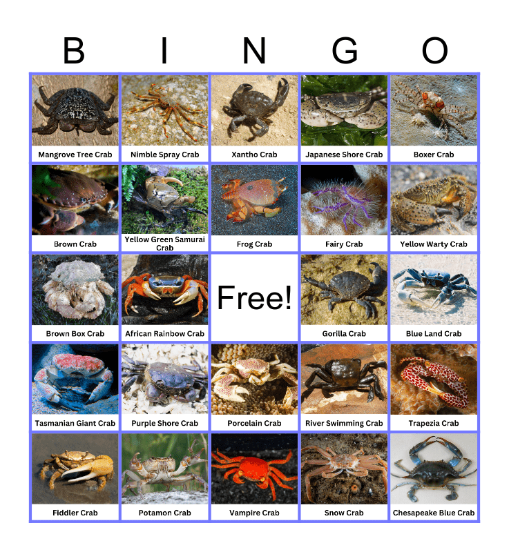 Crabby Bingo Card