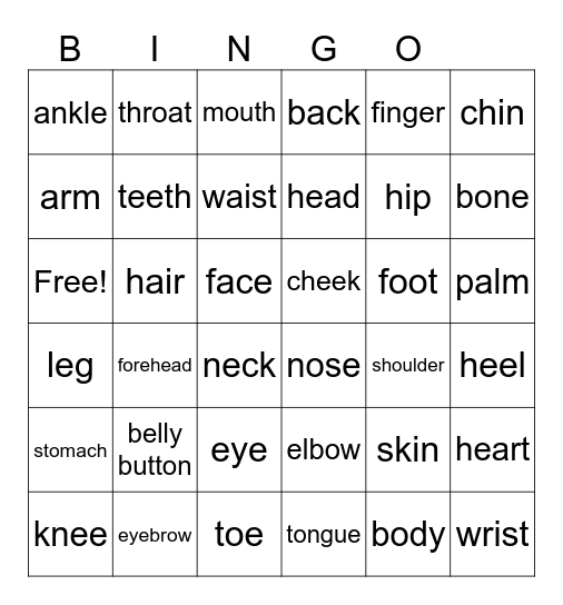EL CUERPO Bingo Card