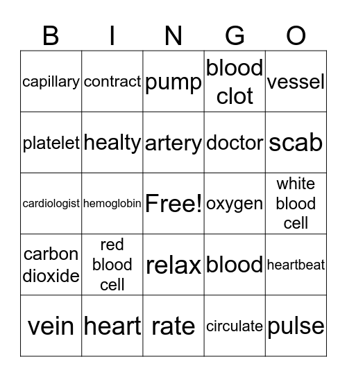 CIRCULATORY SYSTEM Bingo Card