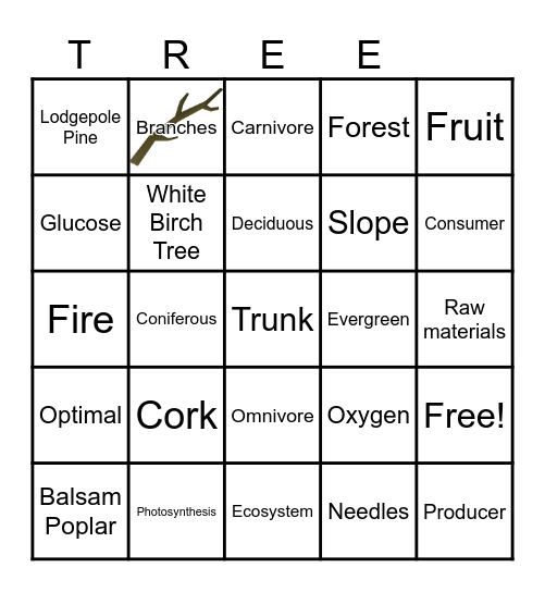Trees & Forests Bingo Card