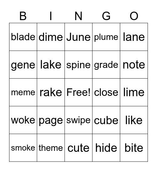Silent e word Bingo Card