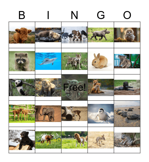 Animal Kingdom (Baby Edition) Bingo Card