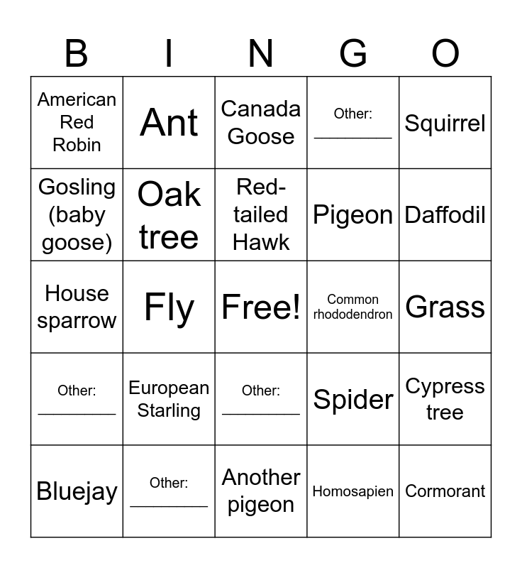 Outside MOS Bingo Card