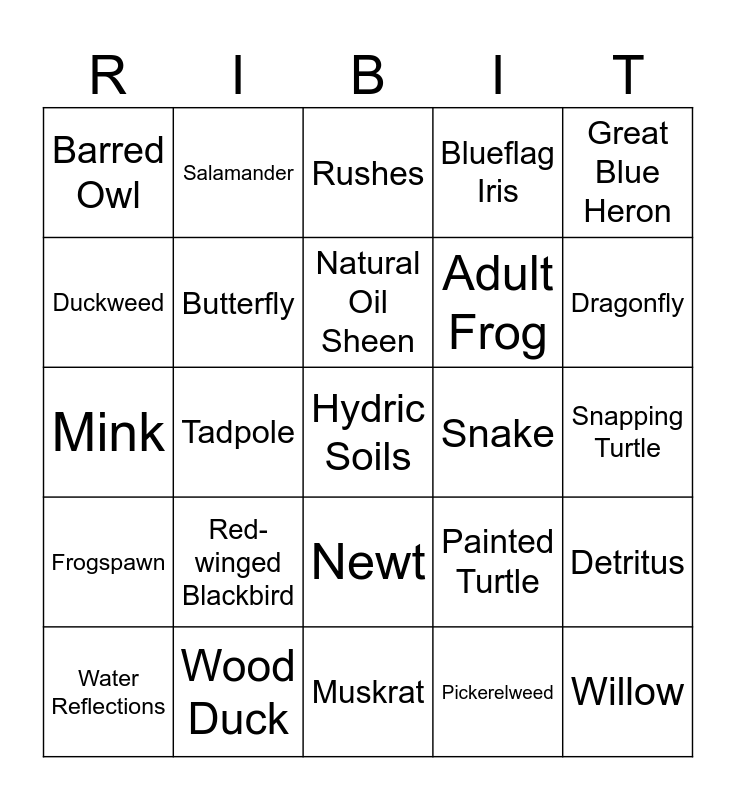 Wetlands Bingo! Bingo Card