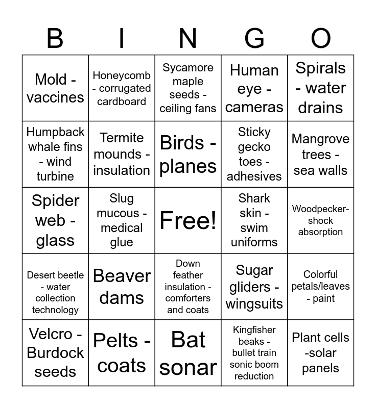 Biomimicry Bingo Card