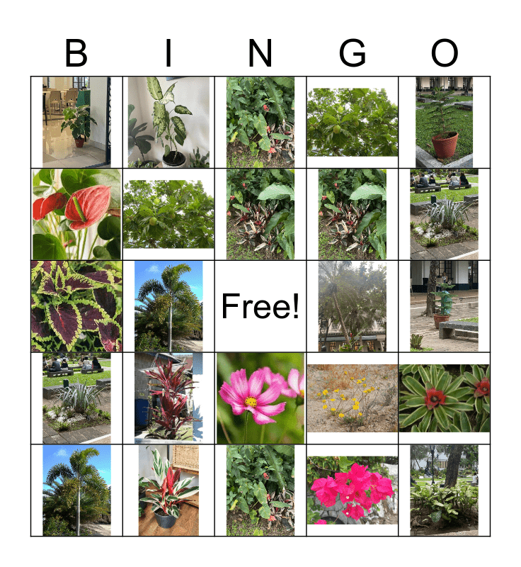 OEC TREASURE HUNT Bingo Card