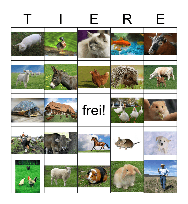 Tiere auf dem Bauernhof Bingo Card