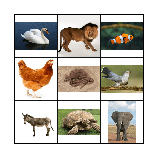 Carnival of the Animals!! Bingo Card