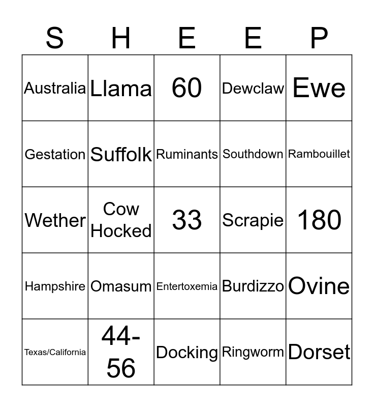 Abbie Sheep Bingo!!! Bingo Card