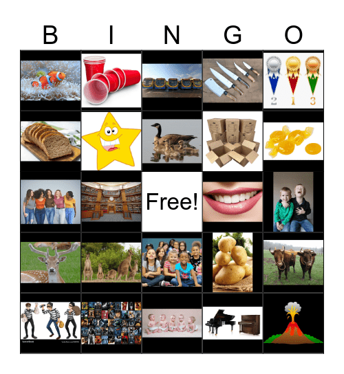 Singular & Plural Nouns Bingo Card