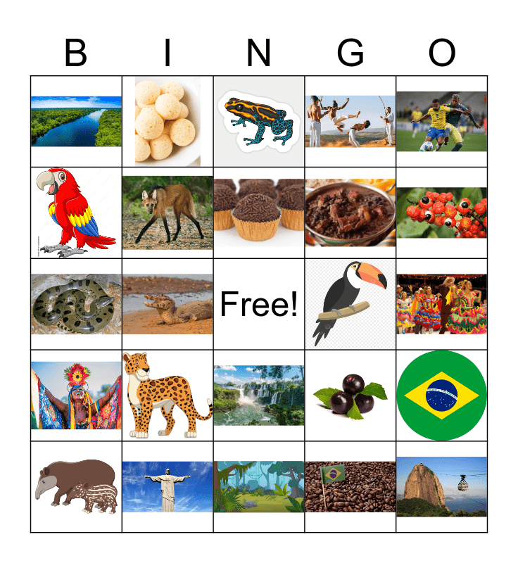Brazil Bingo! Bingo Card