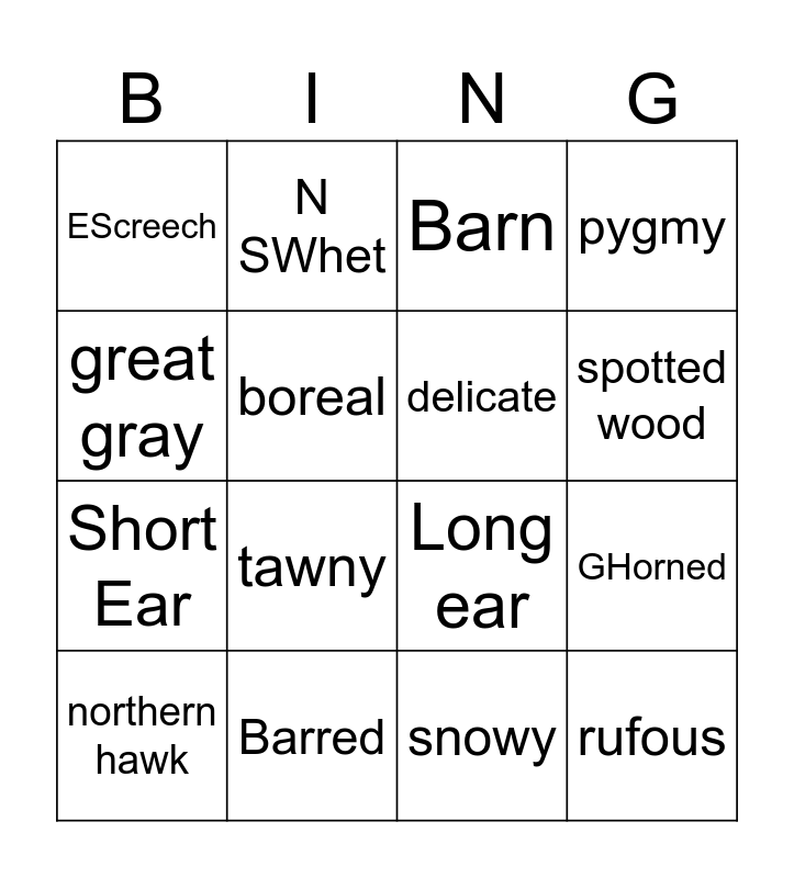 Owl Bingo Card