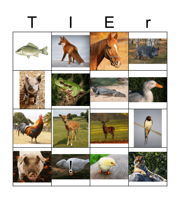 Tiere Bingo Card