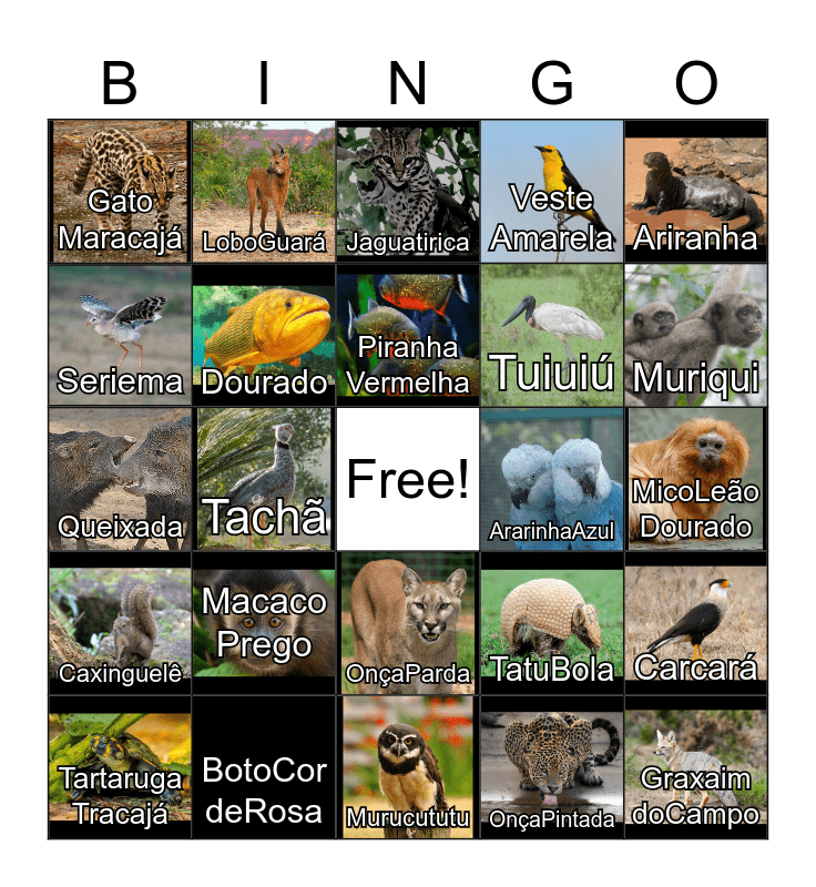 Bingo dos Bixos Bingo Card