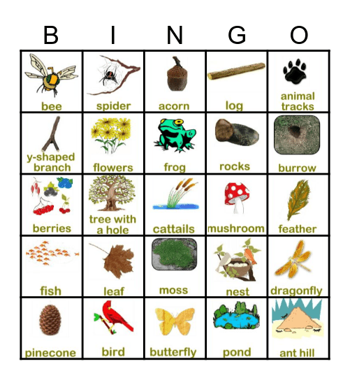 Animal Habitat Bingo Card