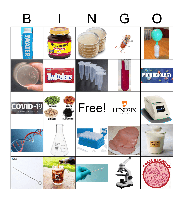 Microbiology Bingo Card