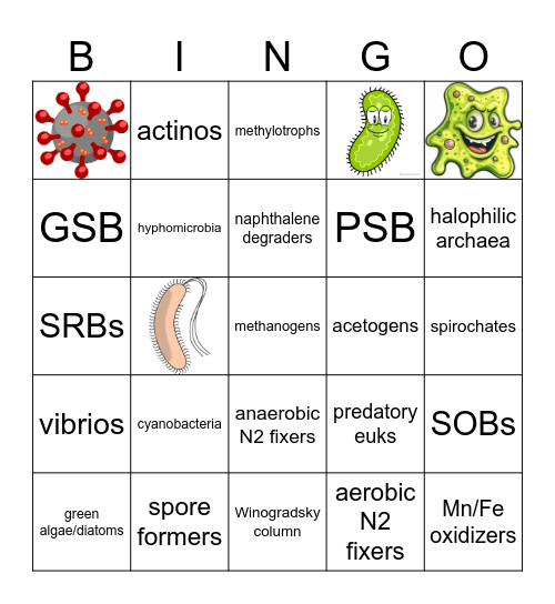 Microbial Diversity Bingo Card
