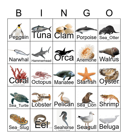 Marine Animals Bingo Card