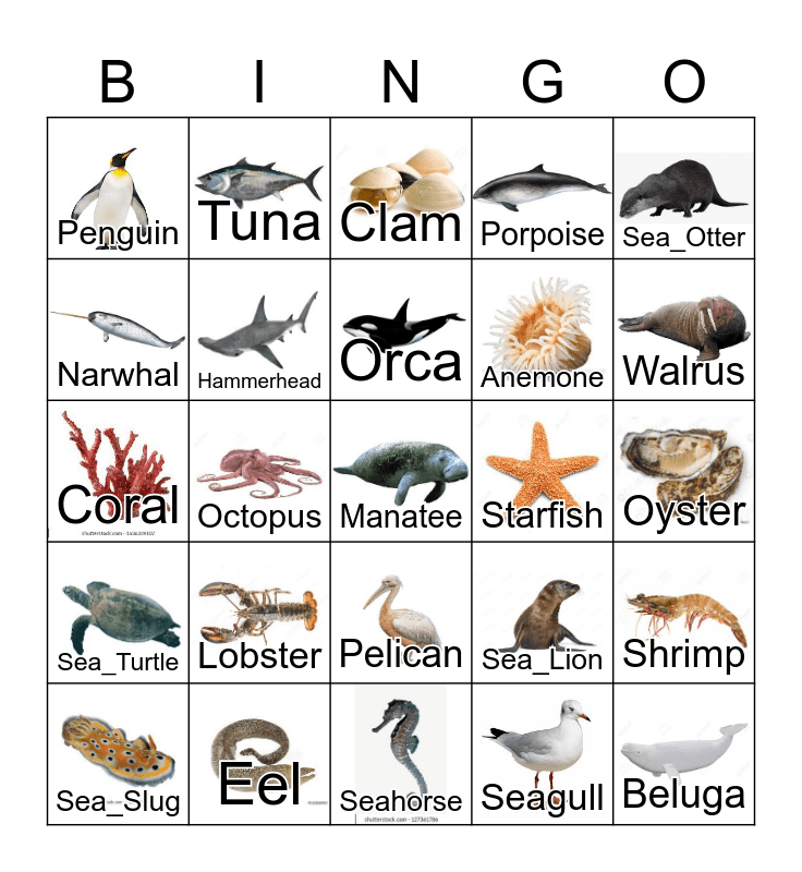 Marine Animals Bingo Card