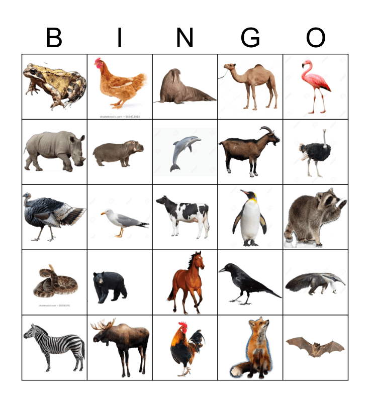 These are a Animals Bingo Card