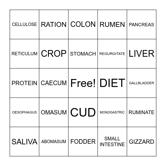 Nutrition and Digestion Bingo Card