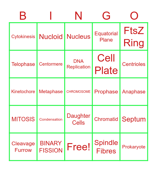 Cell Division Bingo Card