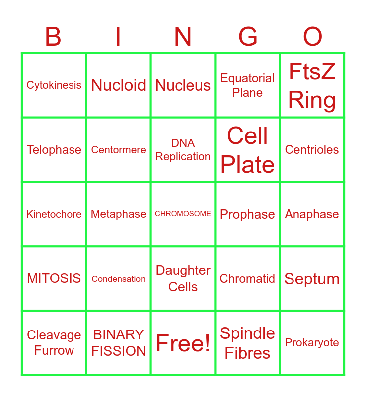 Cell Division Bingo Card