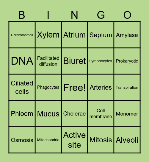 Biology IGCSE terms Bingo Card