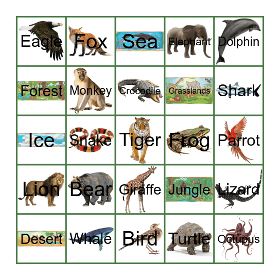 Animals on the move! (Young achievers unit 4) Bingo Card