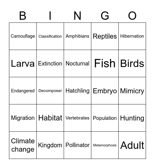 Everything Zoology Bingo Card