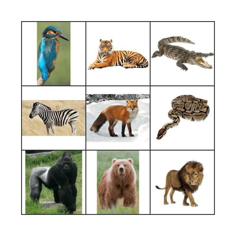 WILD ANIMALS Bingo Card